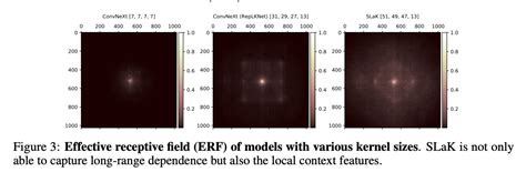 latest computer vision research proposes slak sparse large kernel network a pure