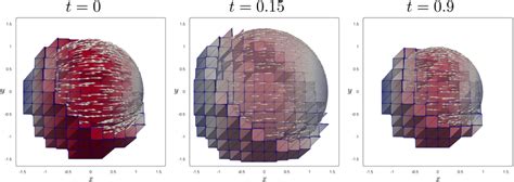 Illustration Of The Extension Mesh And Solution At Mesh Level 3 Download Scientific Diagram