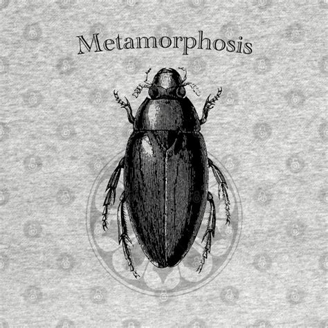 Metamorphosis Kafka Beetle Design T Shirt