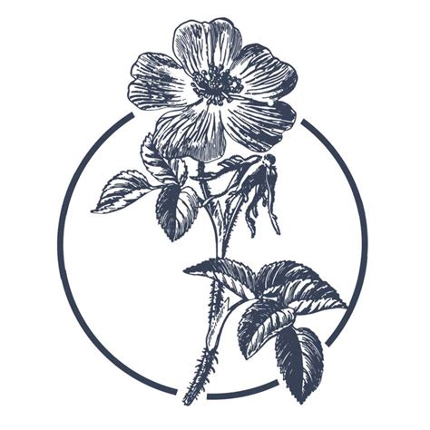 Collier En Pierres Naturelles Lagon Damazonite