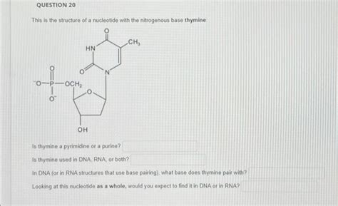 Solved Question 20 This Is The Structure Of A Nucleotide