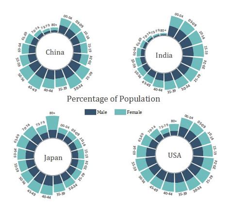 Radial Graph Use Case