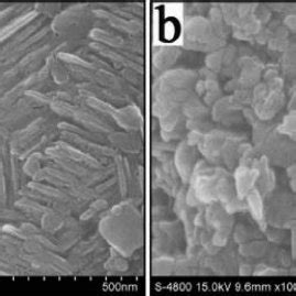 SEM Images Of A LMP CTAB C And B LMP C Download Scientific Diagram