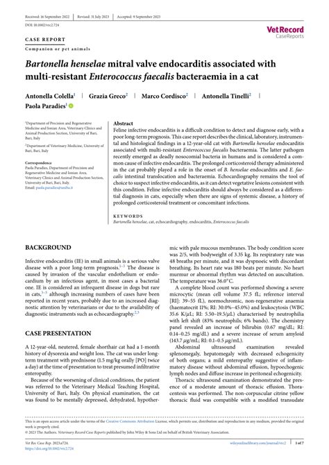 Pdf Bartonella Henselae Mitral Valve Endocarditis Associated With Multi‐resistant Enterococcus