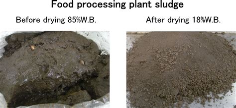 Drying Of Food Processing Plant Sludge Example Of Drying Test Sludge