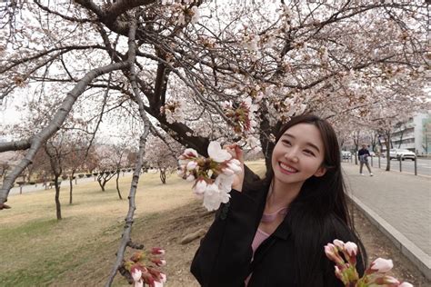 Lck女主持尹秀彬晒出赏花出游照尹秀彬英雄联盟新浪新闻