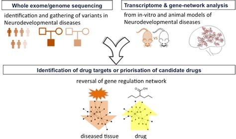Integrative Genomics Neurodiderot