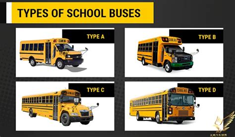 A Super Simple Guide To The Types Of School Buses Around The World