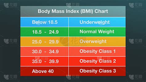 身体质量指数图