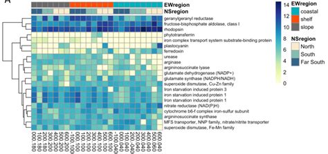 Heatmap Of Transcripts Recruiting To Kos Relating To N Uptake Fe Download Scientific Diagram