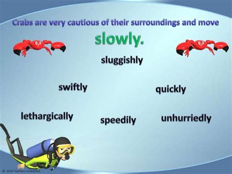 Diving Deep For Synonyms And Antonyms Ppt