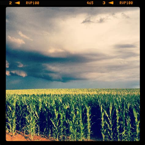 Gmo Labeling Laws Where Are We Now Texas Agriculture Law