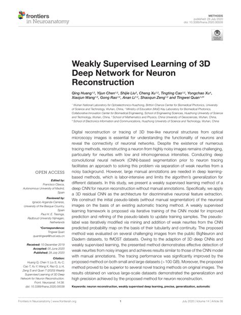 Pdf Weakly Supervised Learning Of 3d Deep Network For Neuron Reconstruction