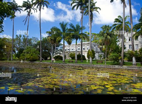 Lily Pond At Codrington College The Oldest Anglican Theological