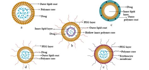 Structure Of A Polymer Core Lipid Shell Plhns B Core Shell Type Hollow Download Scientific