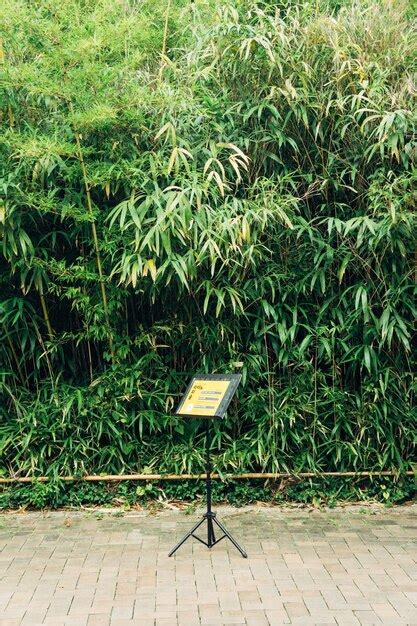 Premium Photo Empty Grass