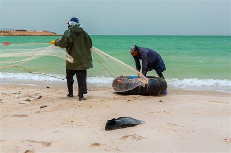 모로코의 Dakhla 해변에서 잡은 물고기로 가득 찬 그물을 수확하는 어부들 관광에 대한 스톡 사진 및 기타 이미지 관광