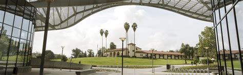 Mackenzie Scott Ts 40 Million To Cpp Bronco Magazine Cal Poly