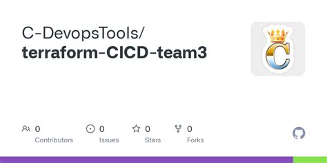 Github C Devopstoolsterraform Cicd Team3