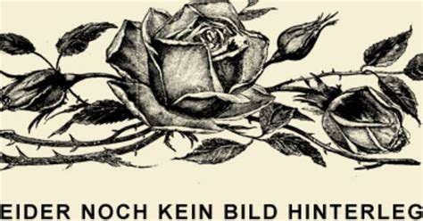 Fairy Dance Clematis Fairy Dance Online Kaufen