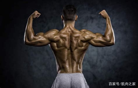 接下来，小编我就背阔肌左右两侧背阔肌左右两侧大小不一样，不对称这个问题，给大家介绍3个解决问题的方法。