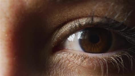 Objectdetectionapp Object Detection Dataset By Detection