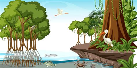 Mangrove Forests Geeksforgeeks