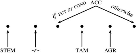 Schematic Representation Of European Portuguese Conditioned Placement Download Scientific Diagram