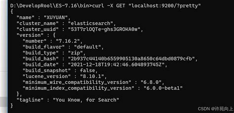 最详细【elasticsearch笔记】elasticsearch Java Api Spring Boot集成 实战入门（基础篇） Csdn博客