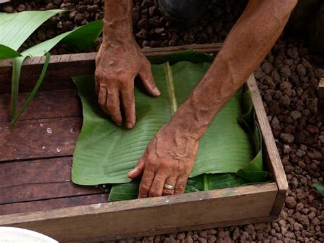 Cottage Life On Pilgrim S Farm Homemade Cocoa Powder Pt 1