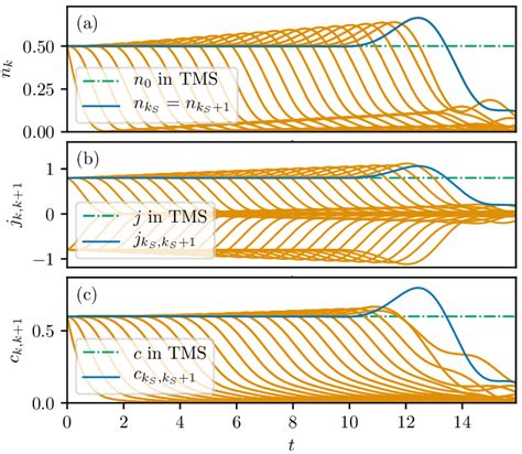 The Dynamics Of The Occupations The Currents And The Correlations Of