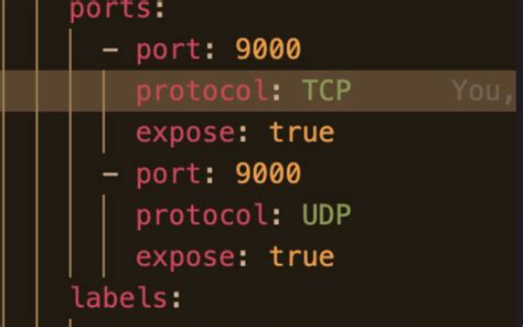 Multi Protocol In Same Port Under Component S Define May Duplicate
