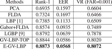 The Performance Of Different Methods On The Feret Database Download Table