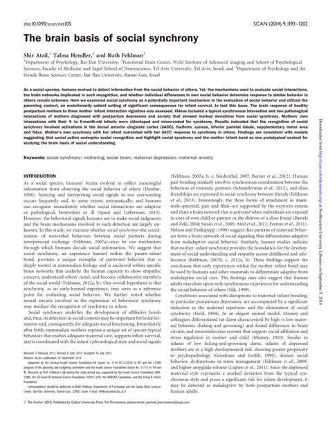 Pdf The Brain Basis Of Social Synchrony