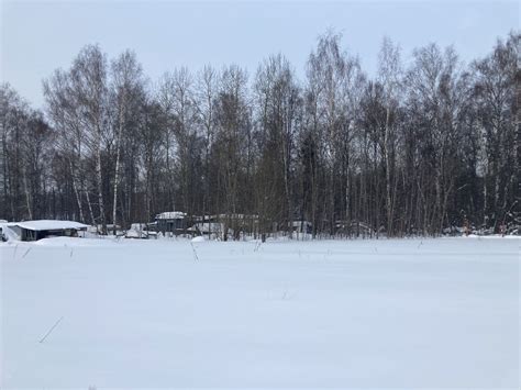 Земли сельхозназначения Московская область Дмитровский городской округ деревня Горки