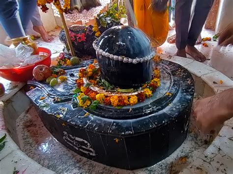 Rare Yoga Being Formed On Mahashivratri After 300 Years महाशिवरात्रि