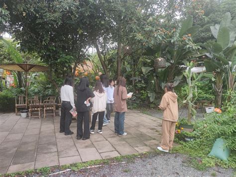 乡村振兴环境设计师生到柳州市鱼峰区法山村阔以小院进行乡村庭院考察活动 柳州工学院设计艺术学院