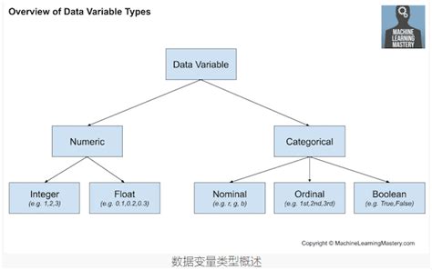 特征选择（feature Selection）初识与论文推荐特征选择论文 Csdn博客