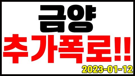 금양 주가전망 단독입수추가폭로적발금양 금양주가 금양주가전망 Youtube