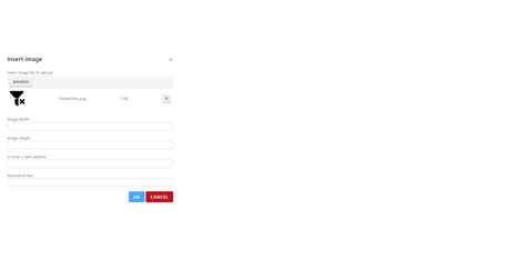 Radzen Html Editor Insert Pic With Browse Does Not Work Radzenblazor