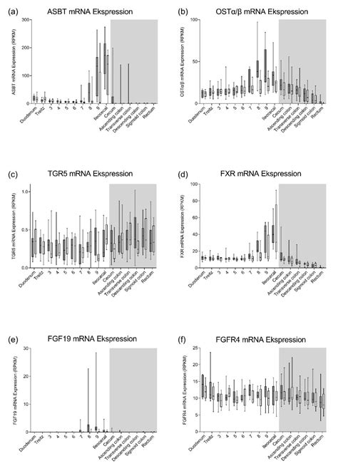 filip k knop on linkedin expression of bile acid receptors and transporters along the human…