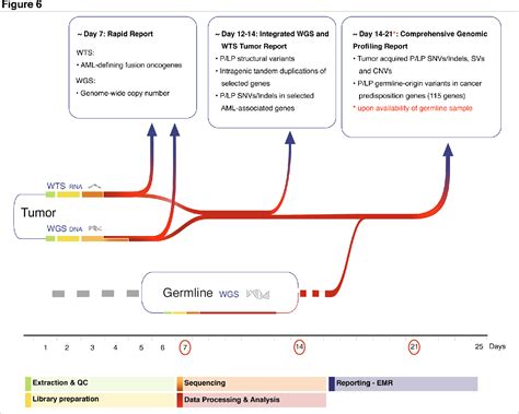 Figure 6 From Integrated Whole Genome And Transcriptome Sequencing As A