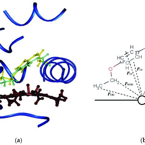 Structure Of Phenacetin With Protons Numbered As Referenced In The Download Scientific Diagram