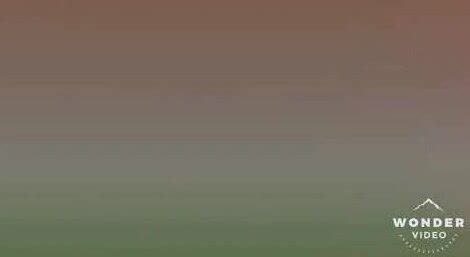 For Some Reason I Love Tik Tok Erofound