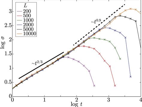 Time Evolution Of Two Boundaries With Initial Distance L2 L 2 In Download Scientific