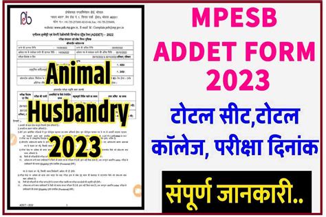 Mpesb Mp Addet Online Form 2023 नोटीफिकेसन जारी ऐसे भरें फॉर्म