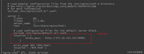 nginx常用 vscode nginx插件 csdn博客