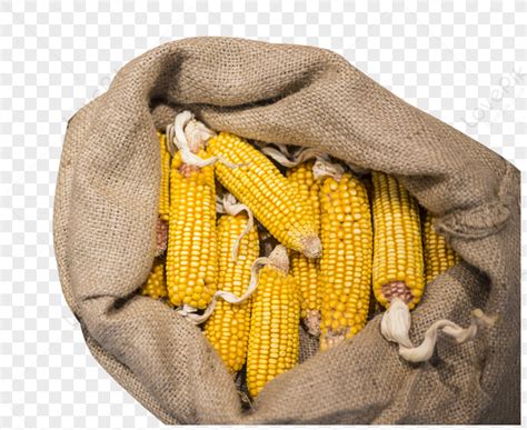 잡곡 Png 일러스트 무료 다운로드 Lovepik