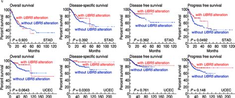 Genetic Features Of Mutations Of Ubr5 In Different Tumors Cbioportal