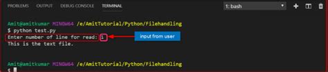 File Handling In Python With Example Dot Net Techpoint